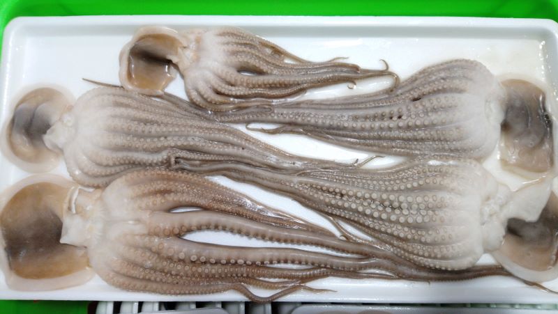 Long-legged Octopus Whole cleaned, Baseafood