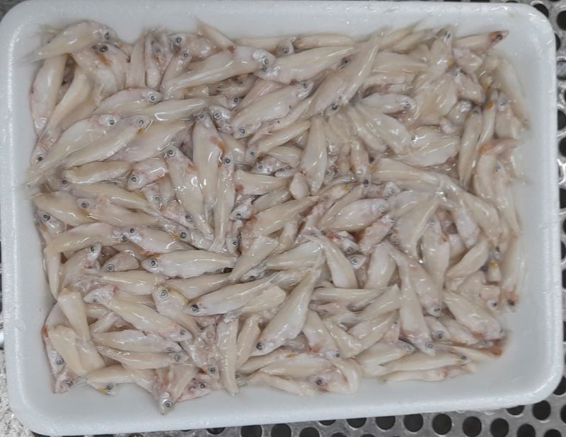 Frozen Pangasius Kunyit Fillet